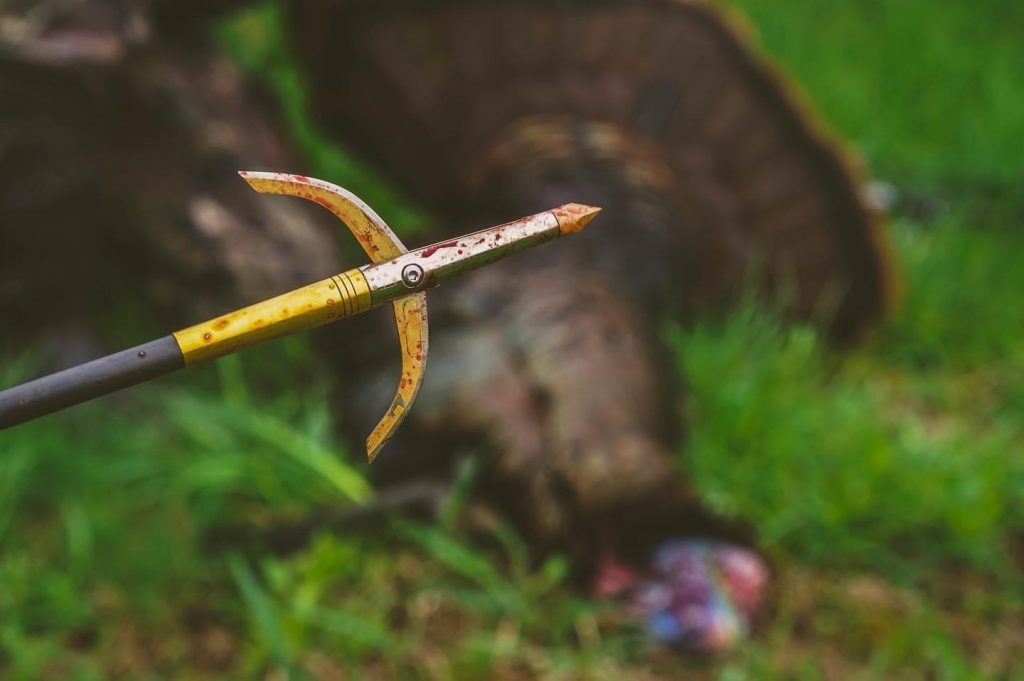 Spectre Broadhead | Viper Archery